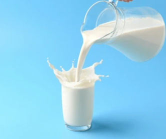 MILK LIST - JK INDIAN GROCERY